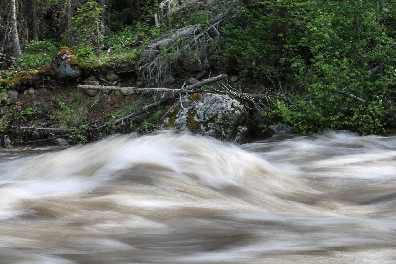 Wyoming Rivers Cooperative