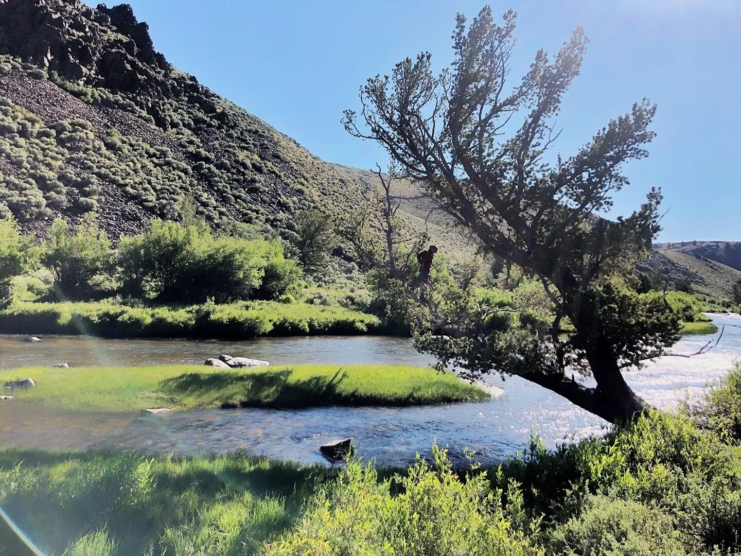 Wyoming Rivers Cooperative
