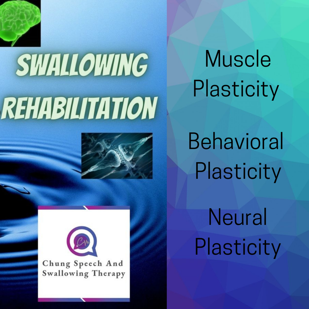 Intensive Outpatient Therapy Dysphagia Rehabilitation Carrollton Texas ...