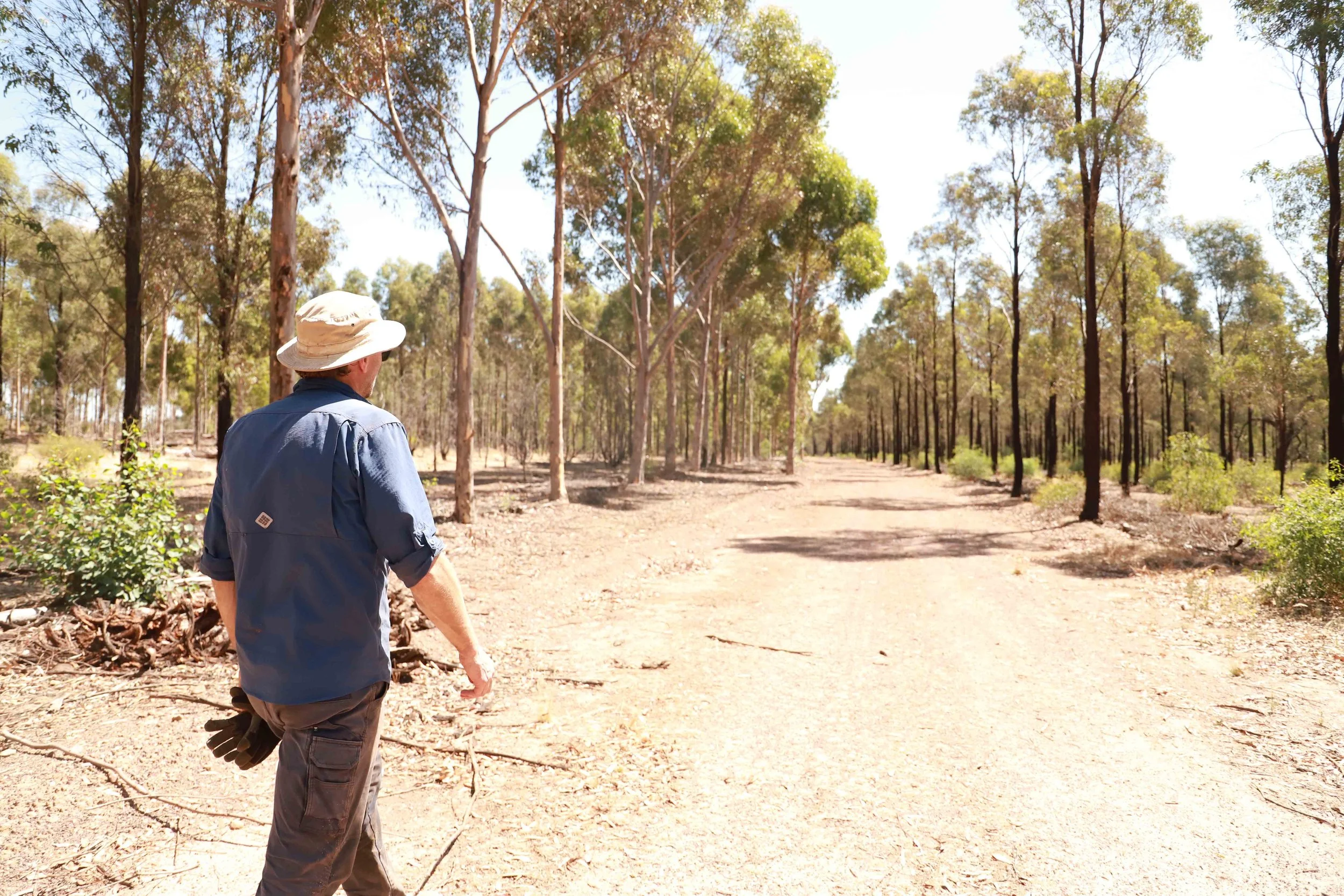 Shop fencing and landscape — wood4good