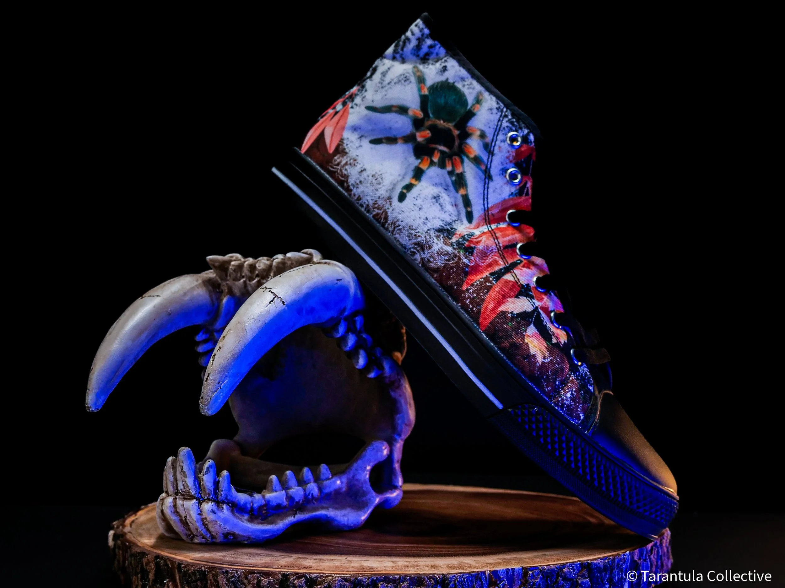 Tarantula Supplies — The Tarantula Collective