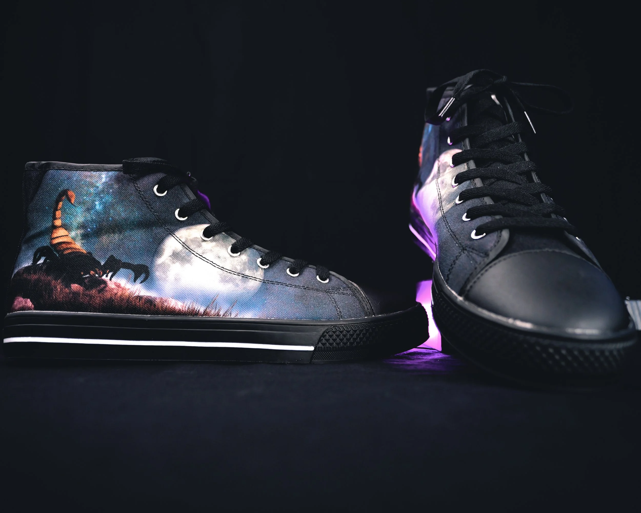 Tarantula Supplies — The Tarantula Collective