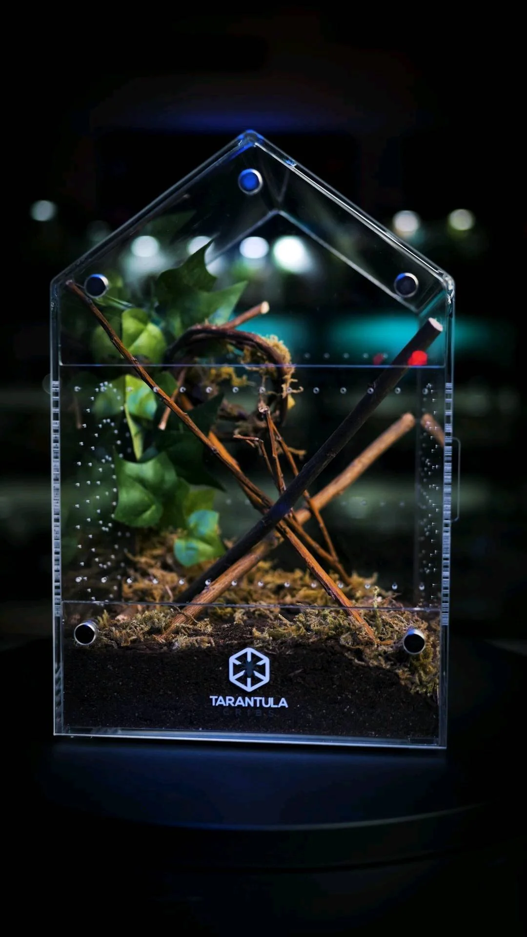 The Tarantula Collective