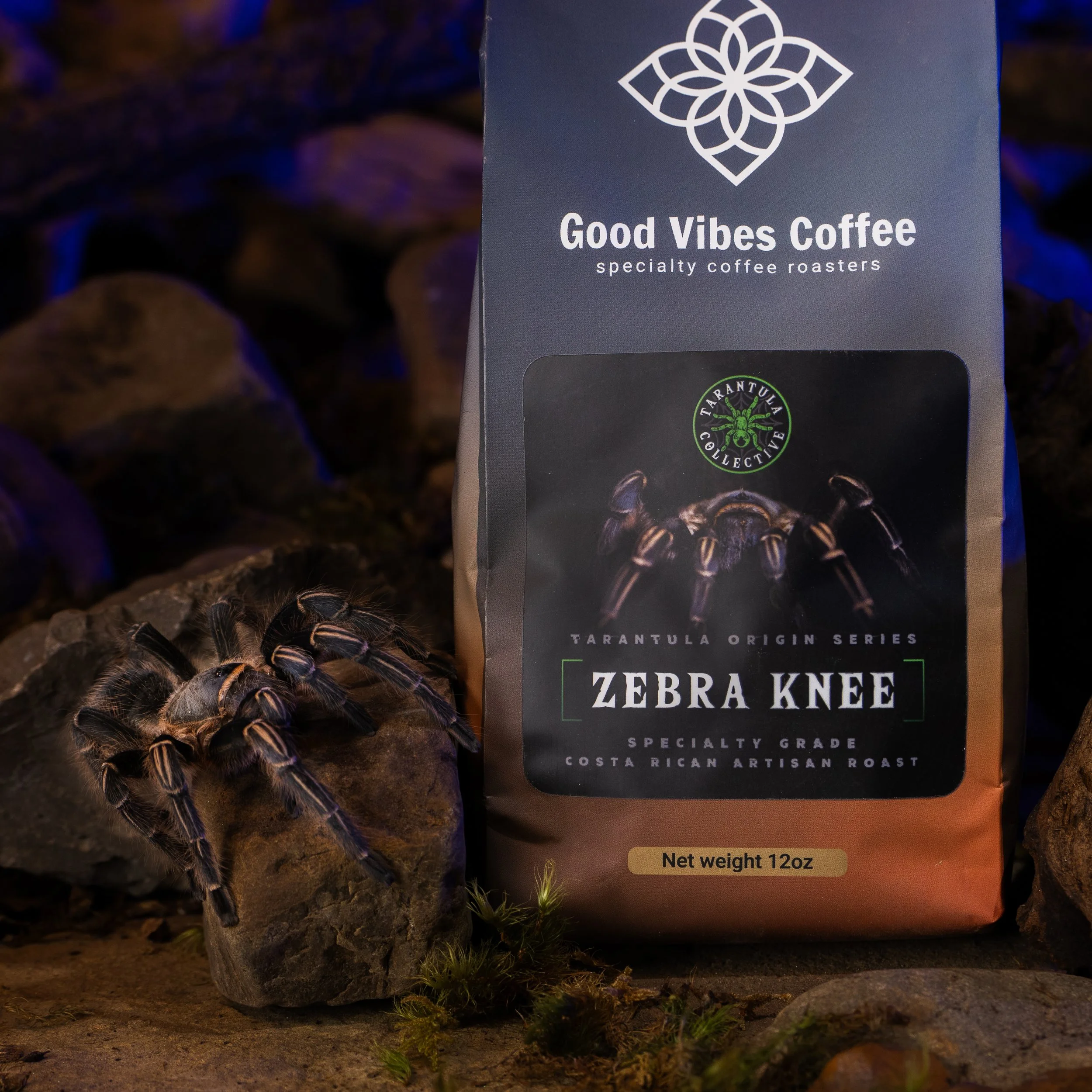 Zebra Knee - Costa Rican Artisan Medium-Light Roast -12oz- Tarantula ...