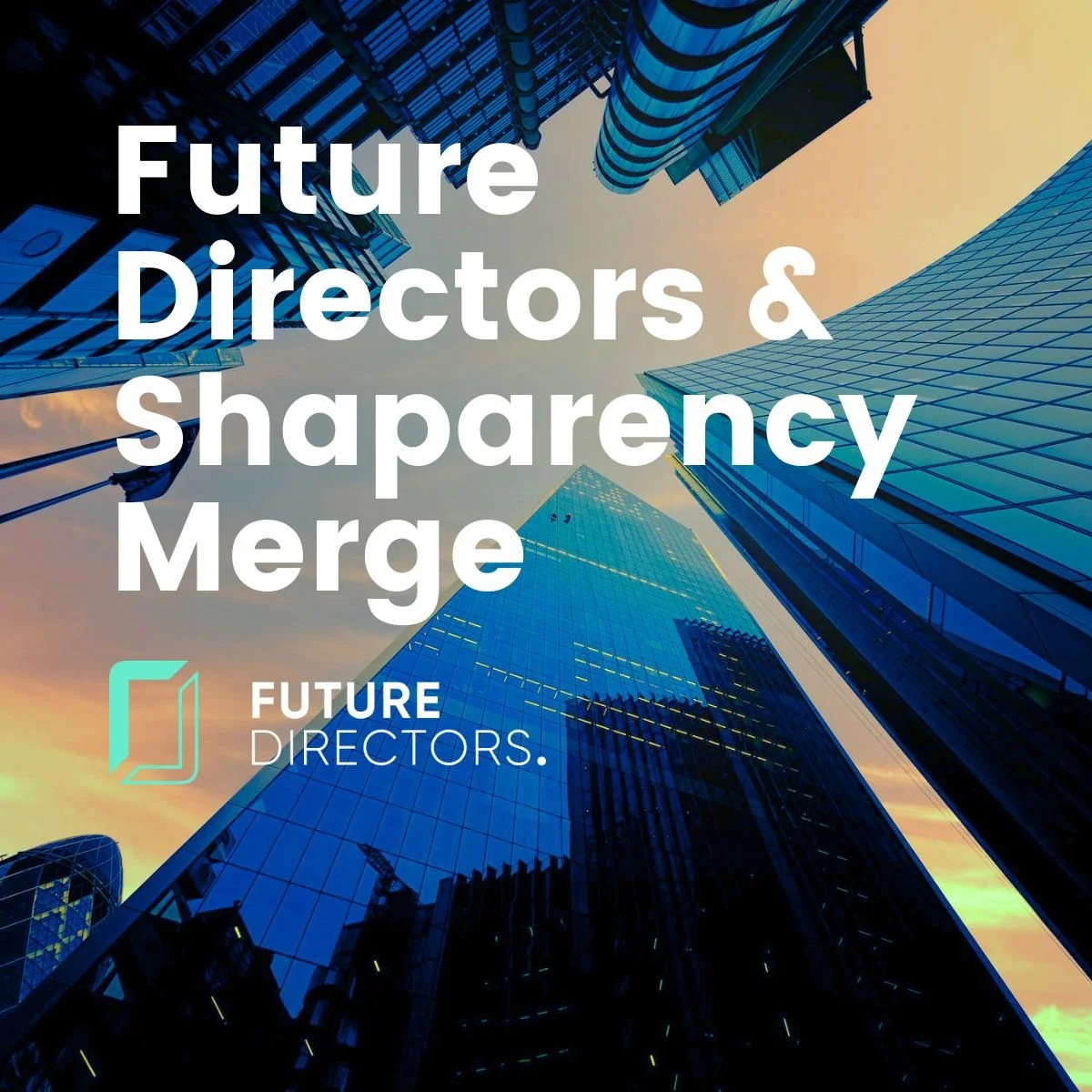 Explore Training Programs For Your Board Future Directors