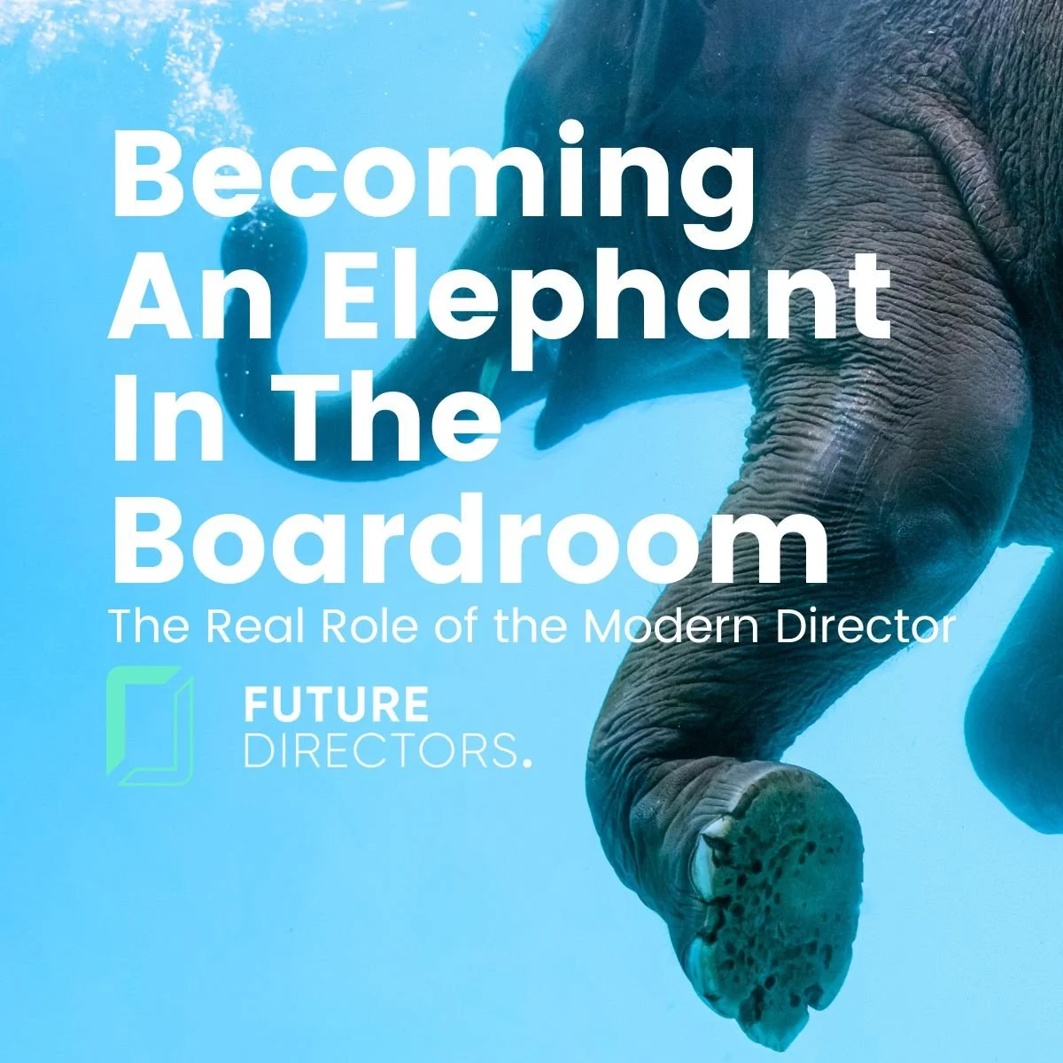 Explore Training Programs For Your Board Future Directors