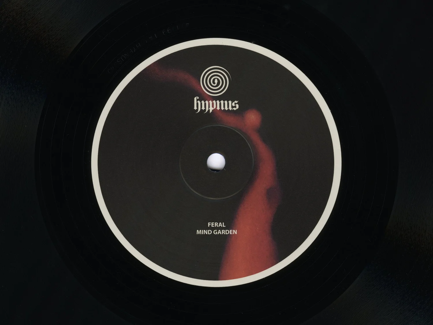Hypnus Records