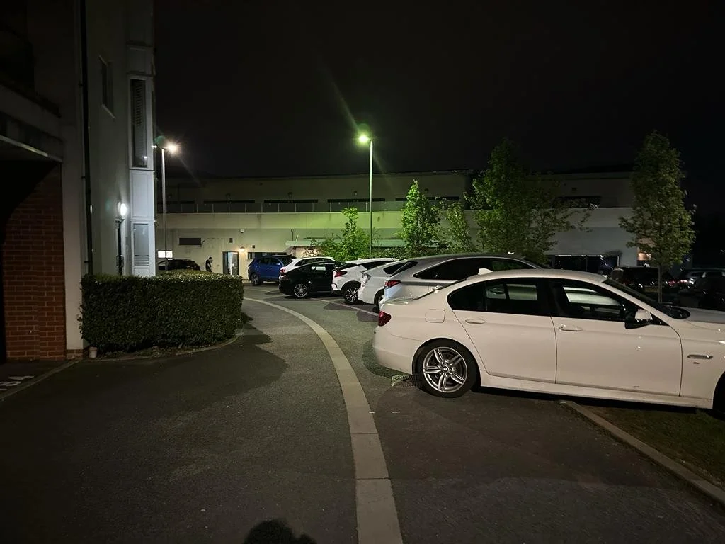 The Grass Verge Is Not The Answer ! — Save The Hamptons