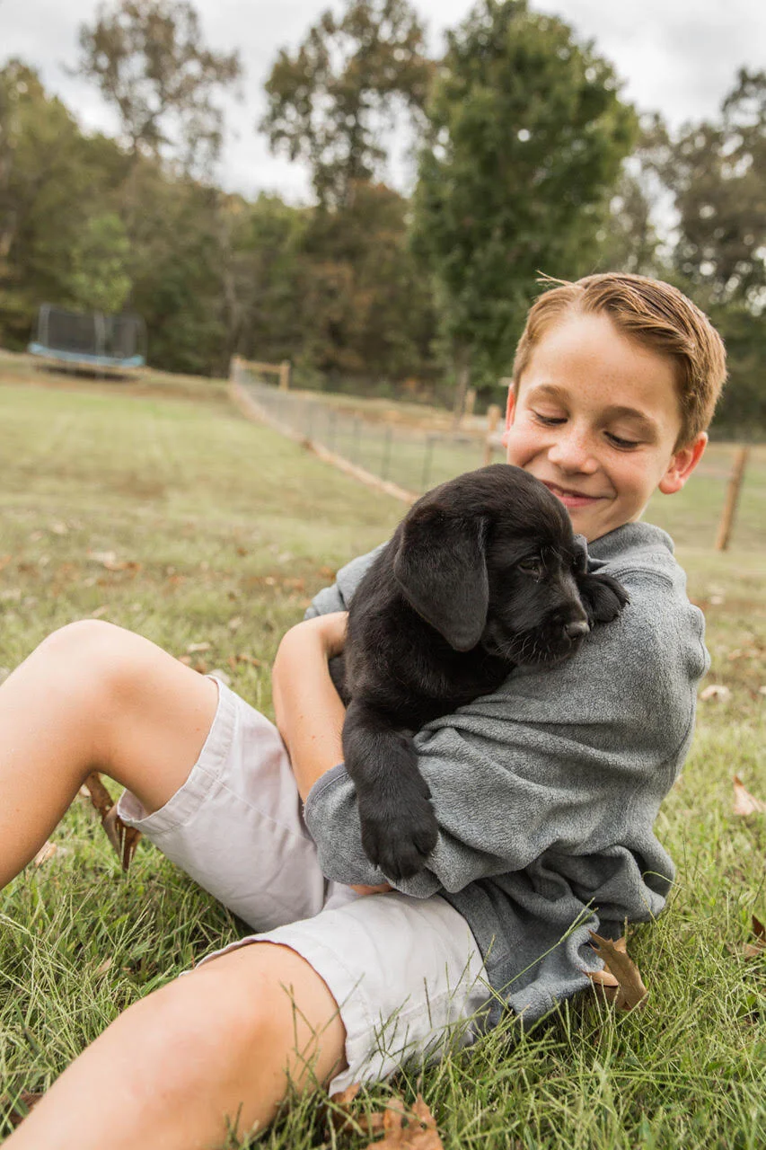 Bringing Home a New Labrador Puppy — Smoky Mountain Labradors
