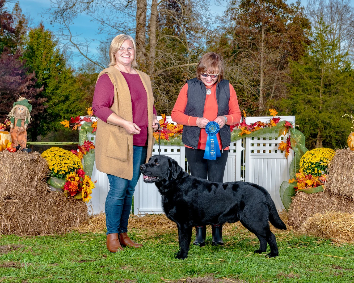 English Labrador Retriever Lifespan - How Long Do Labrador Retrievers ...