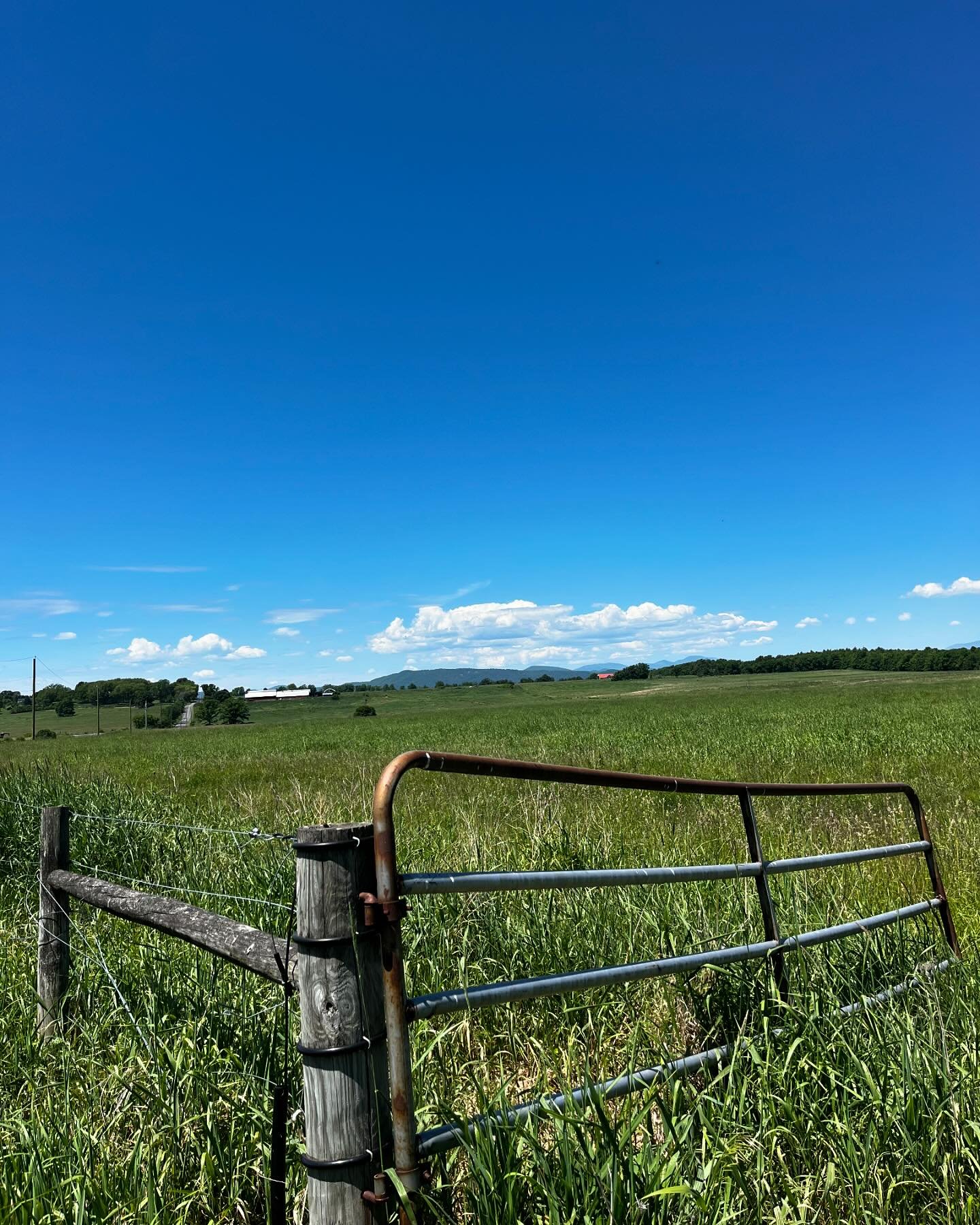 Yankee Rock Farm, LLC