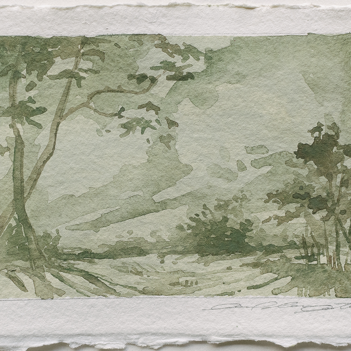 monochromatic studies — laureldawncornerstudio
