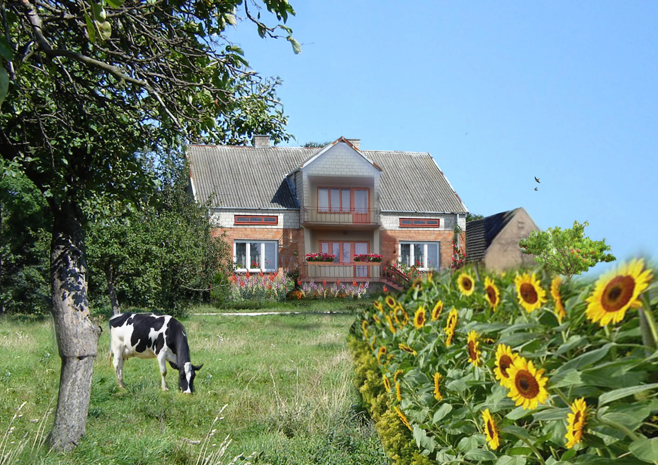 FARMHOUSE IN POLAND