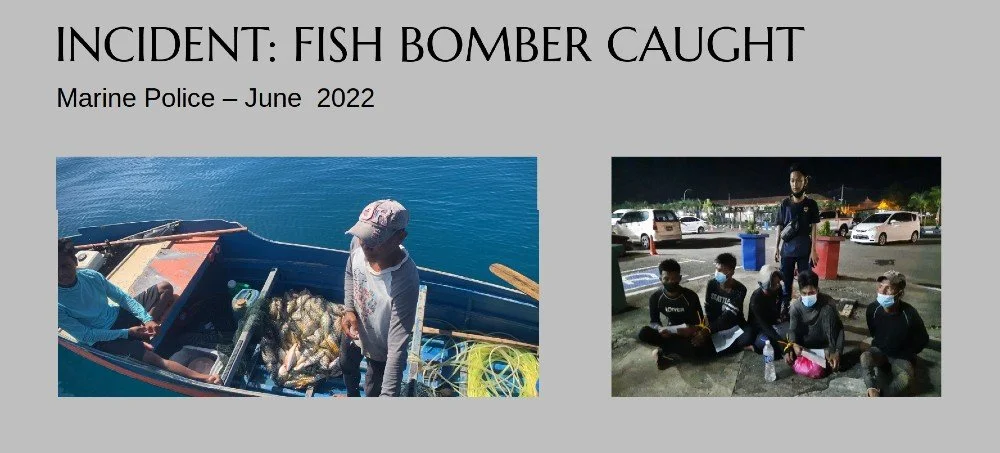 Stop Fish Bombing Teams With WWF Malaysia For Coral Restoration — Stop ...