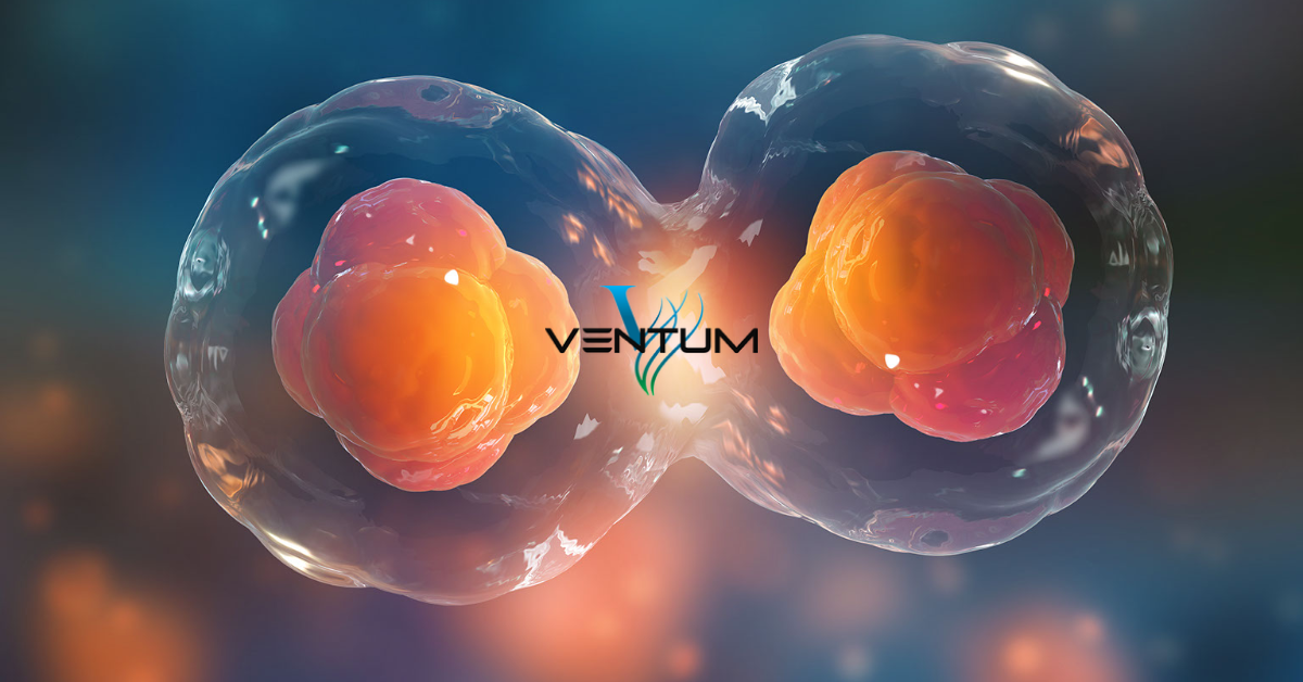 Products — Ventum Biotech