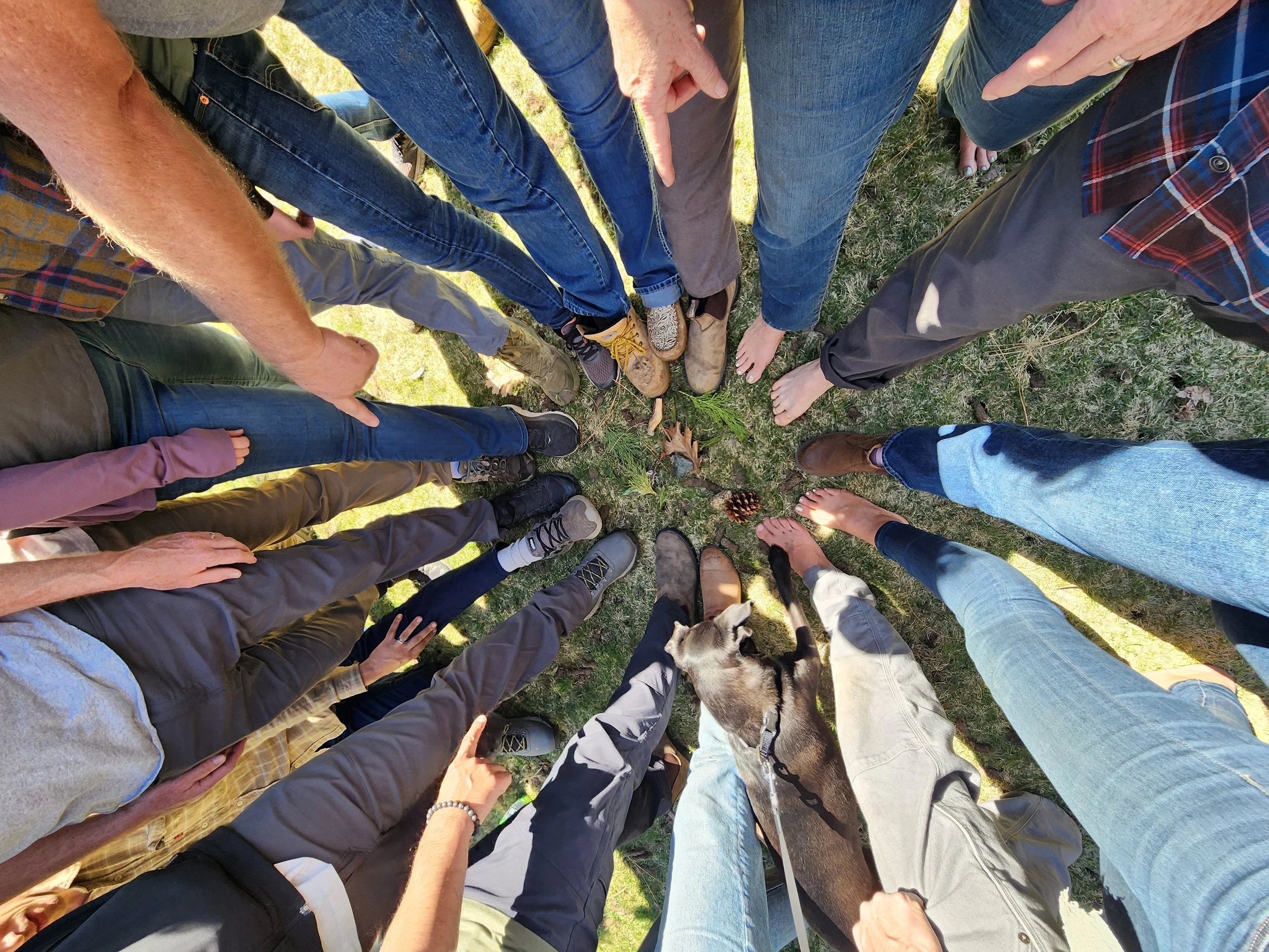 Careers — Watershed Progressive