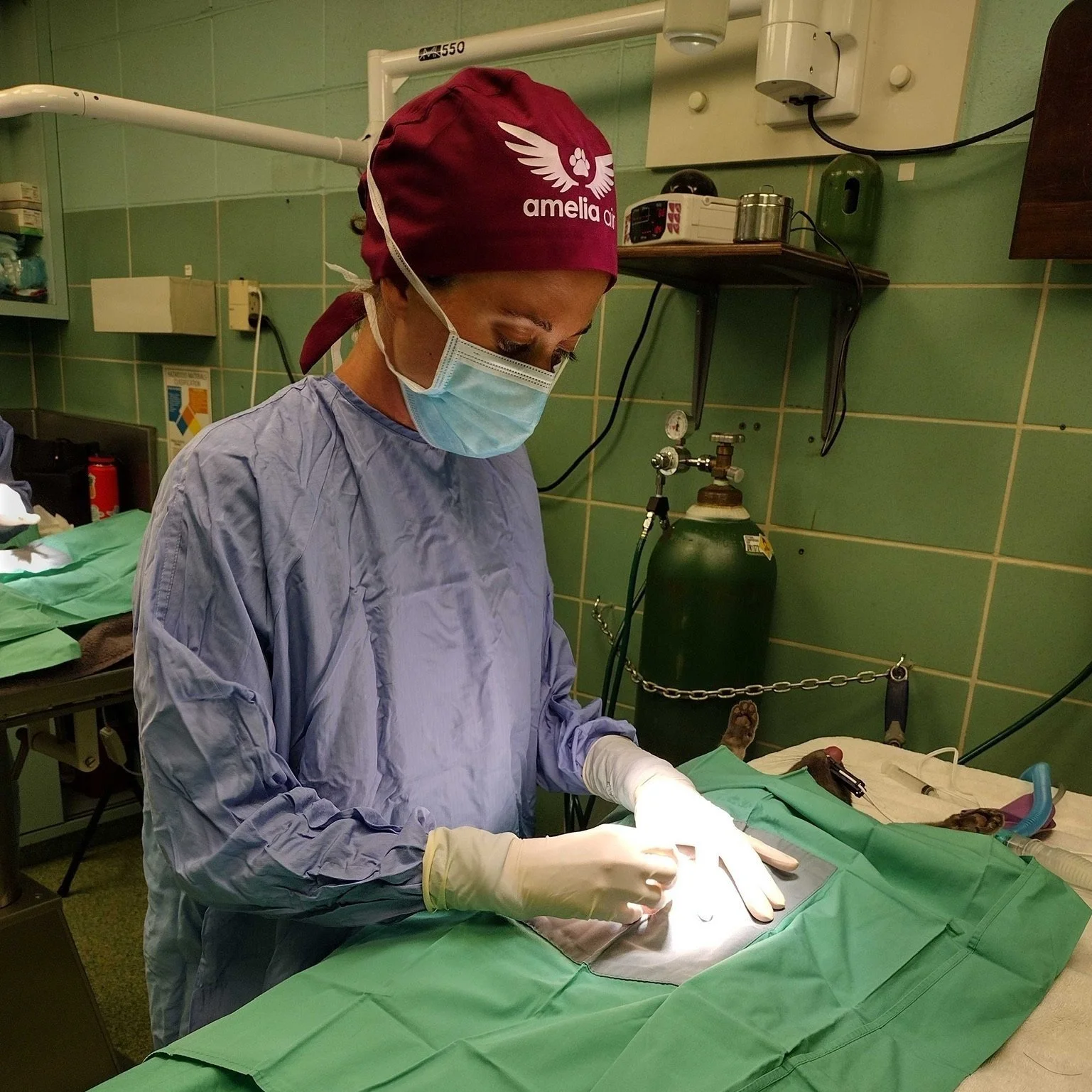 Donate — Amelia Air