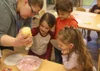 Birch Tree Academy - Preschool, Childcare and Kindergarten in Bellevue ...