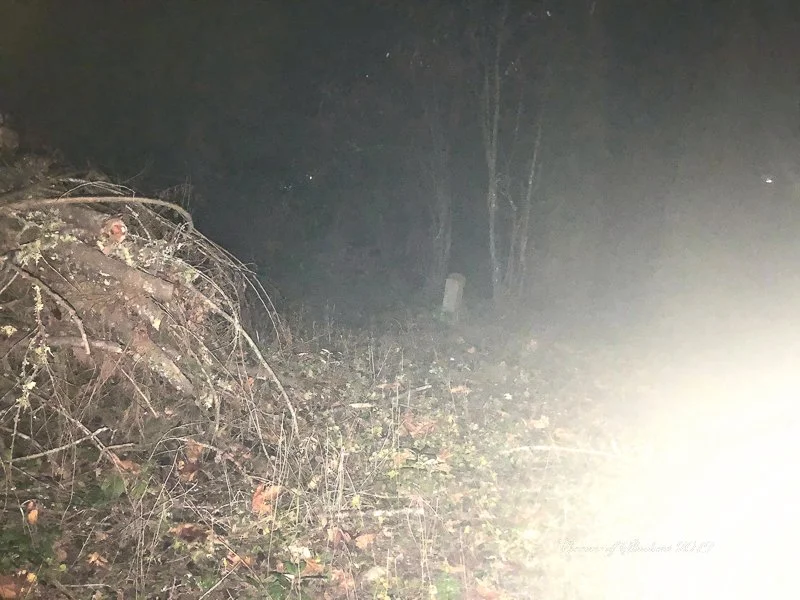 "Dr." Linda Laura Burfield Hazzard and Starvation Heights Sanitarium ...