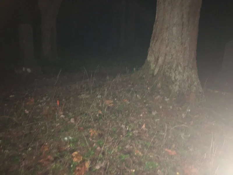 "Dr." Linda Laura Burfield Hazzard and Starvation Heights Sanitarium ...