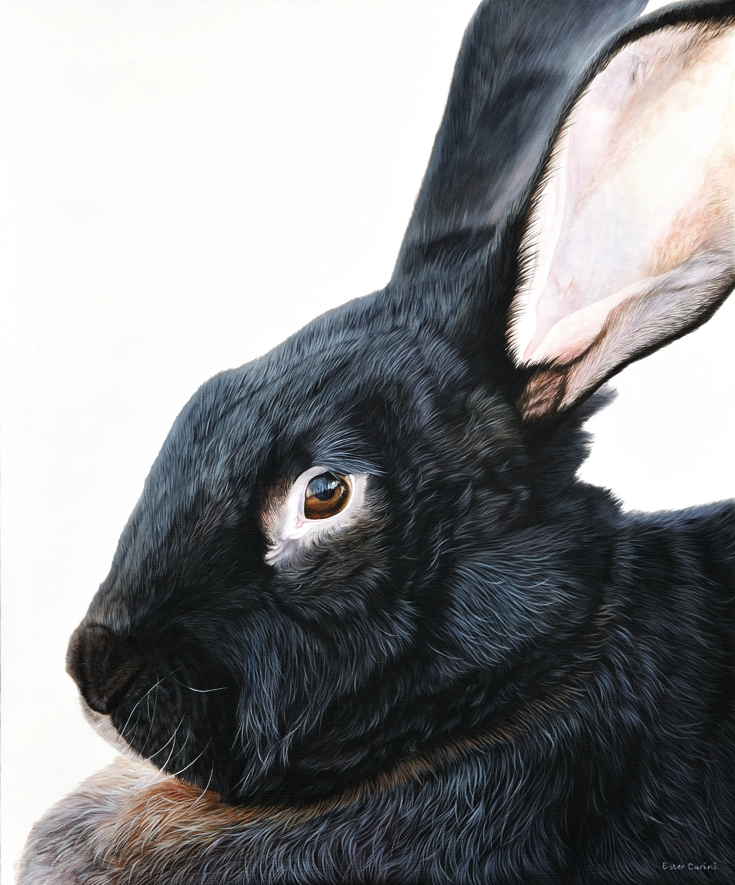 Paintings of Animals on the Farm — Ester Curini