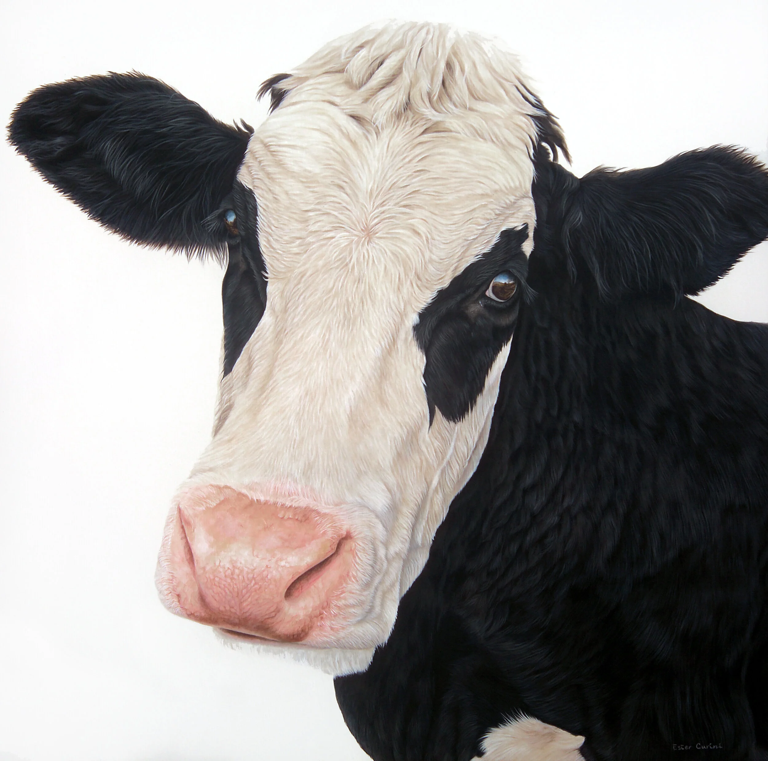 Paintings of Animals on the Farm — Ester Curini