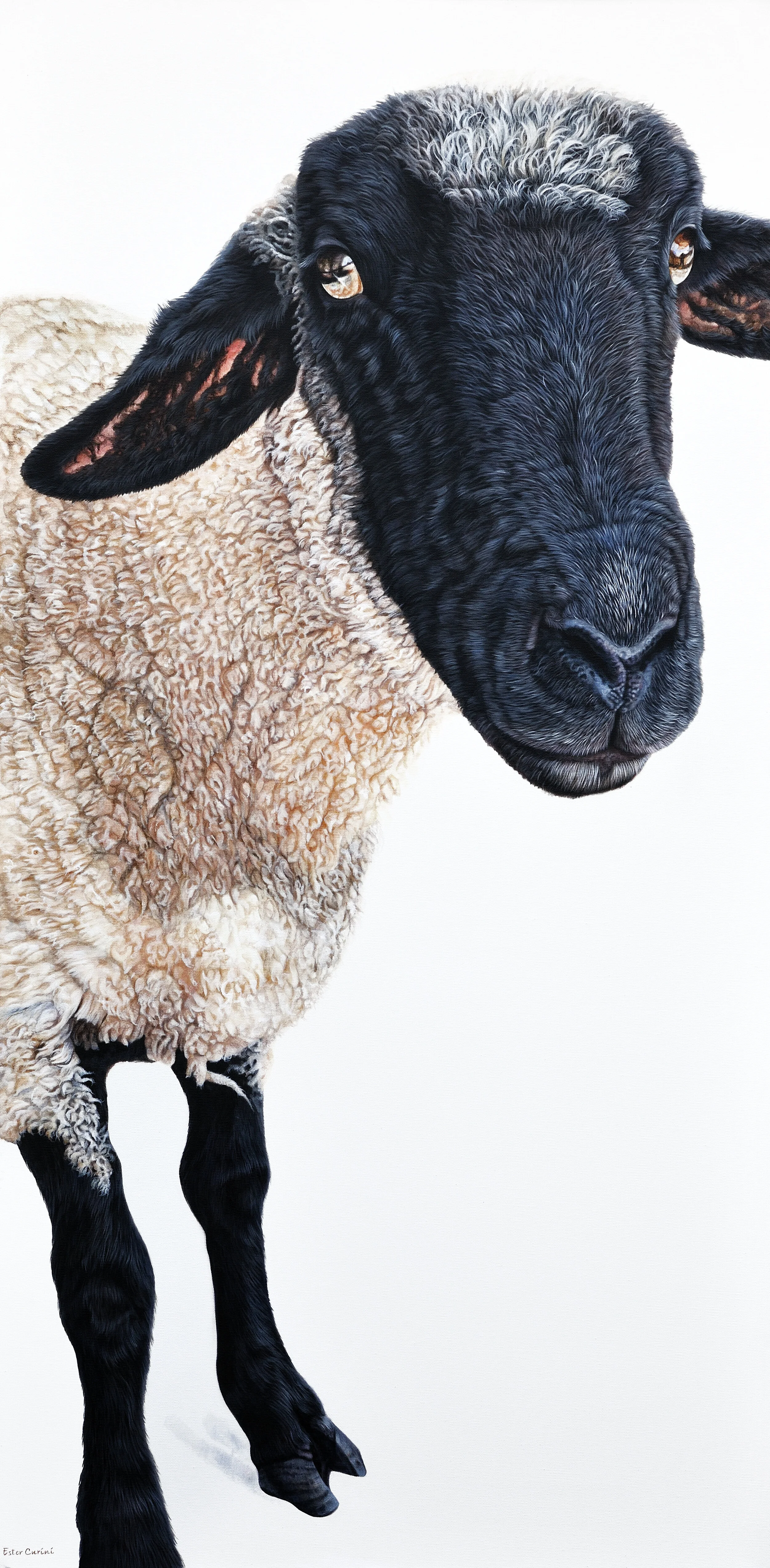 Paintings of Animals on the Farm — Ester Curini