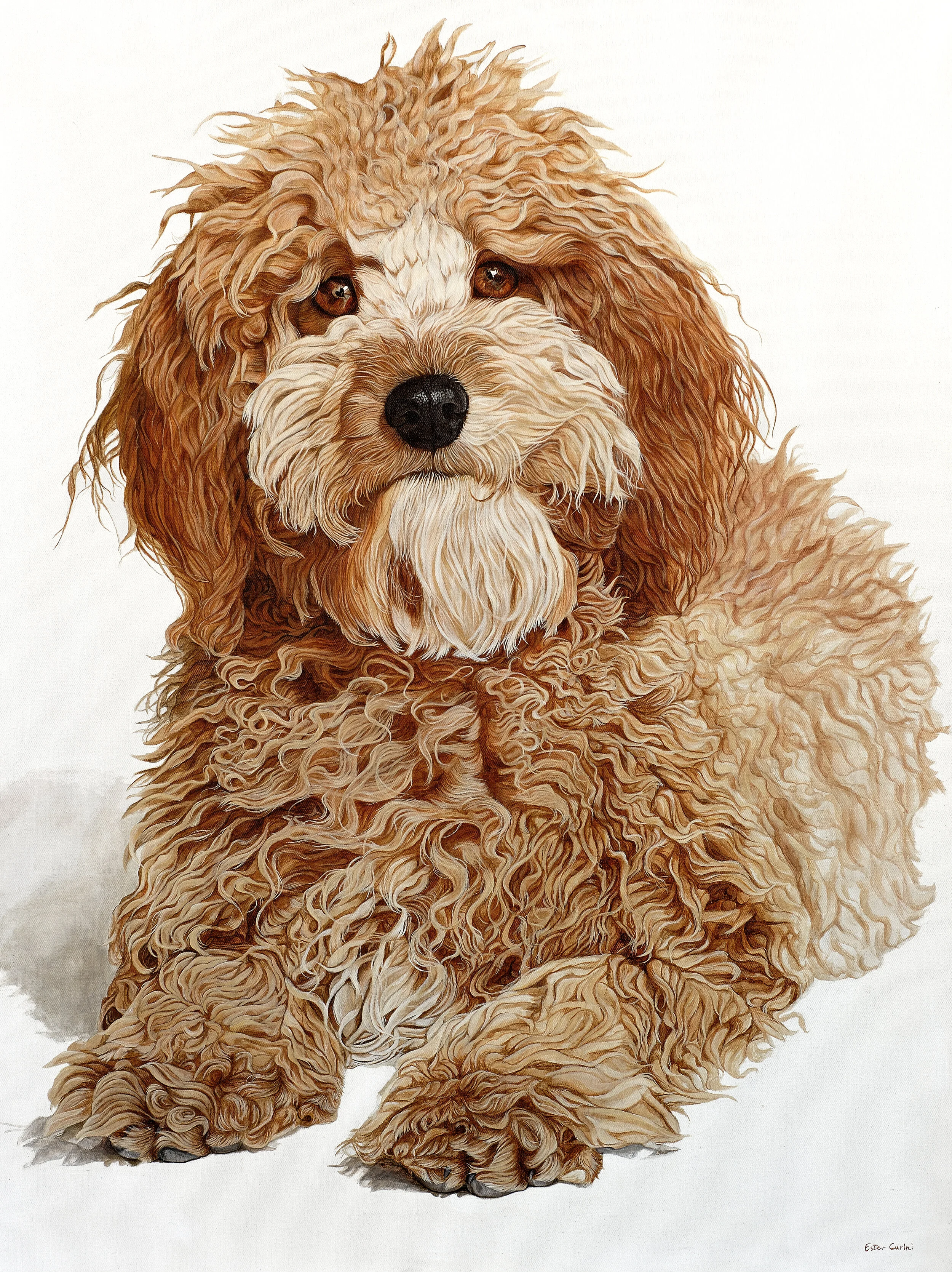 Ester Curini's paintings of Animals in the Home — Ester Curini