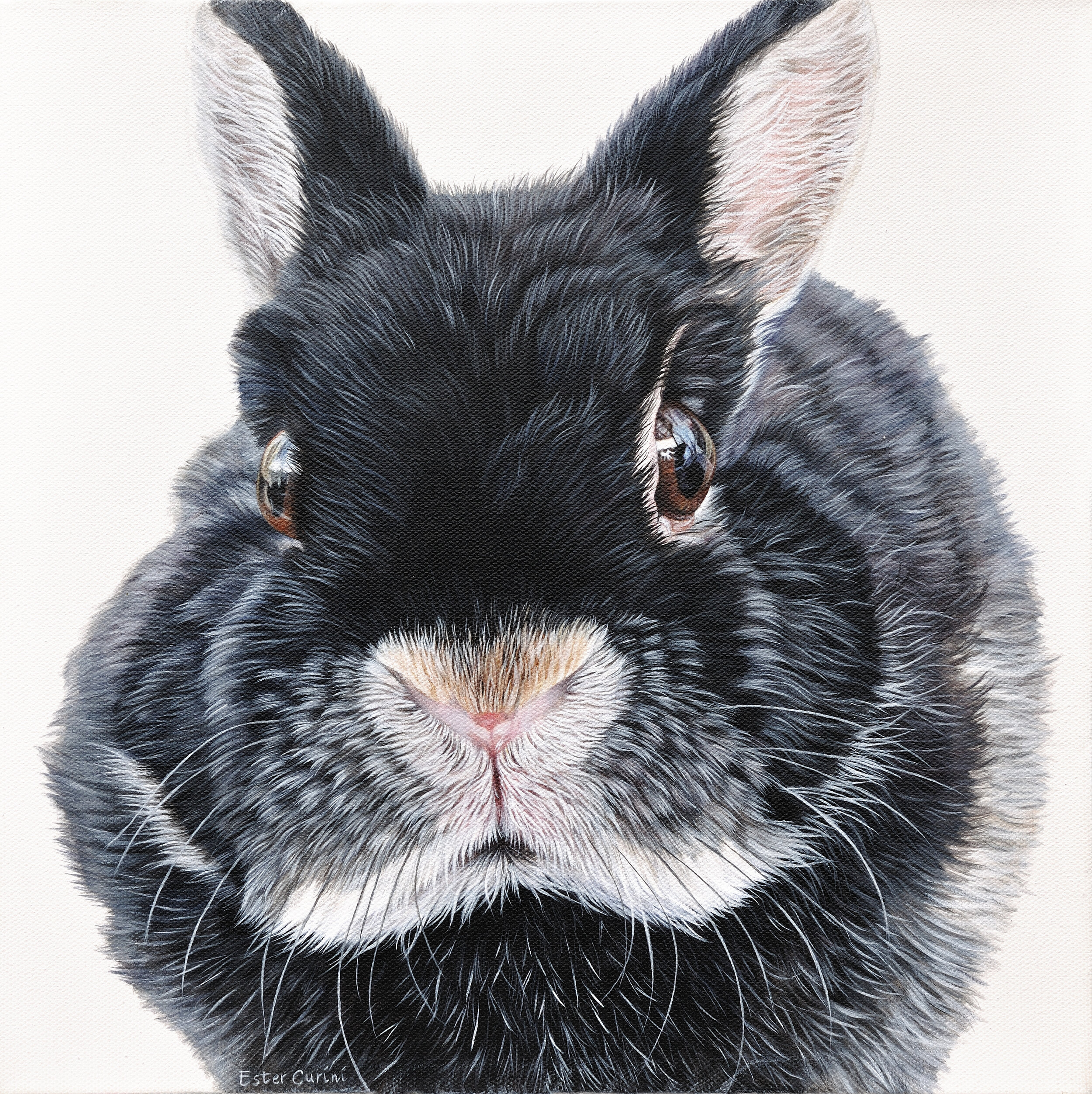 Ester Curini's paintings of Animals in the Home — Ester Curini