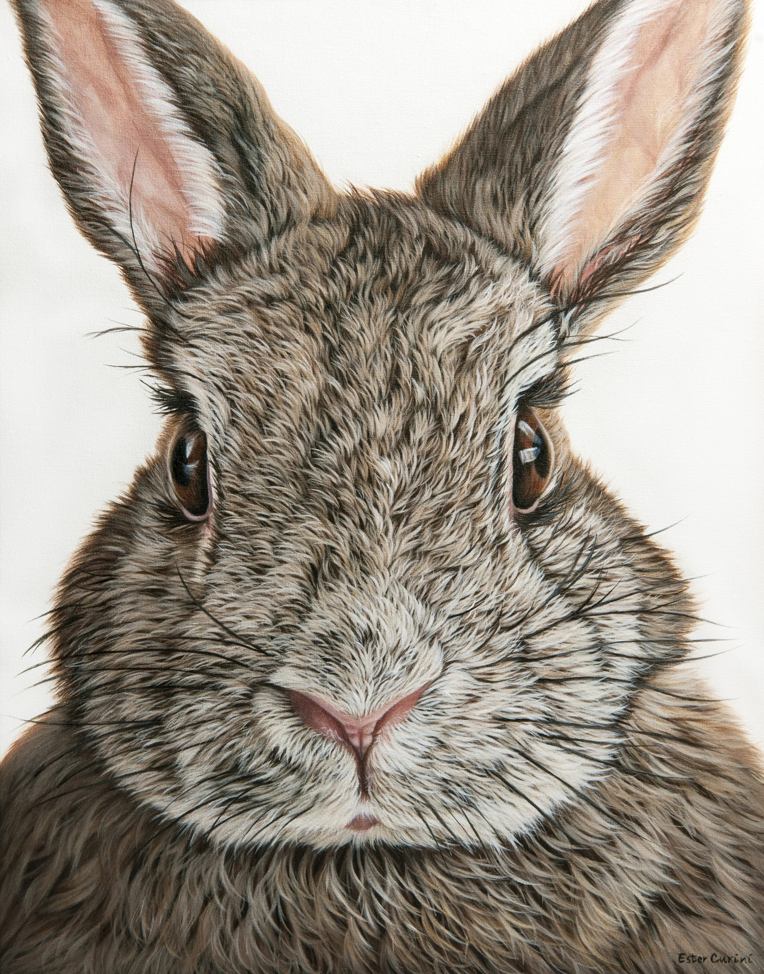 Ester Curini's paintings of Animals in the Home — Ester Curini