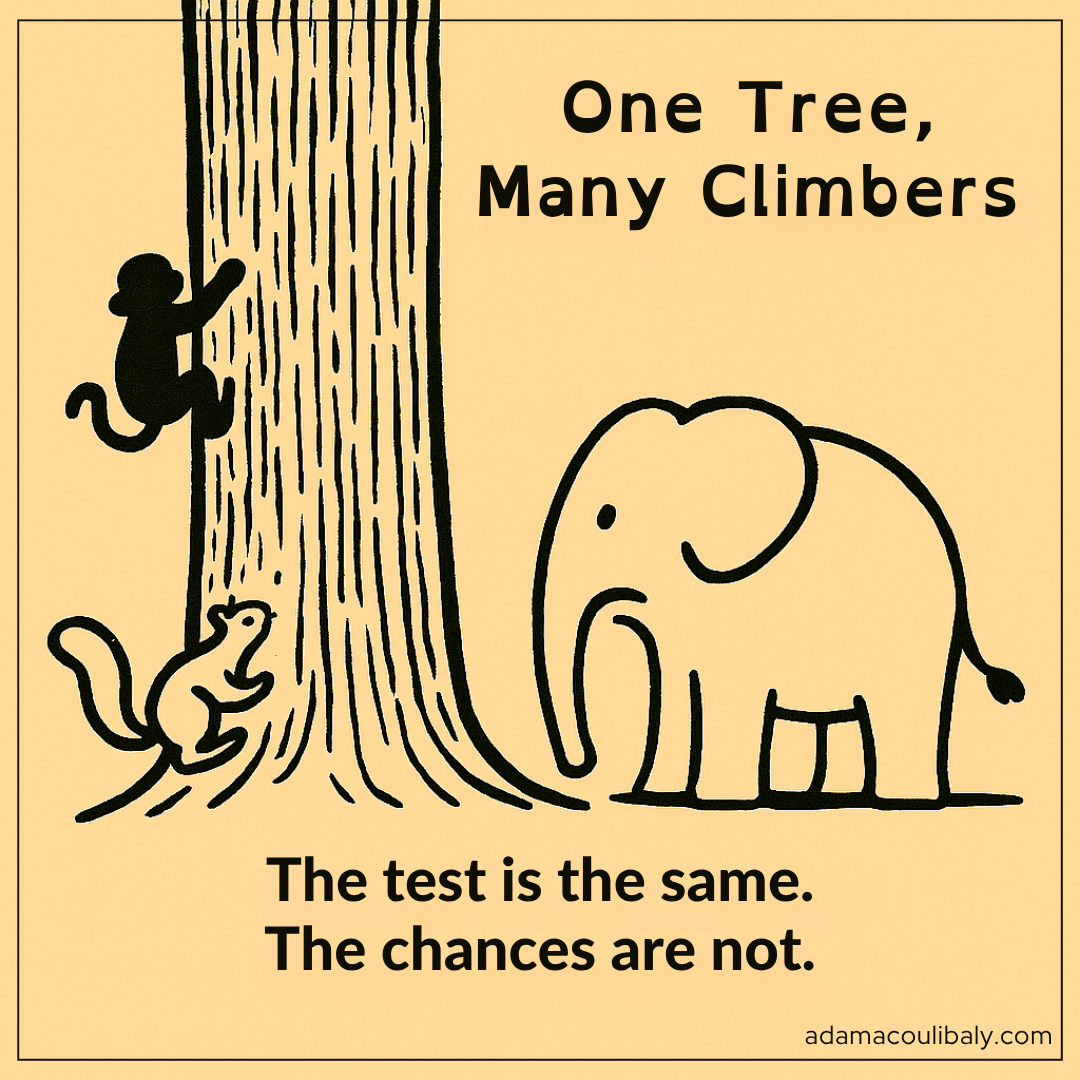 When Fairness Isn’t Equal: Visual Reflections on Equity and Perspective