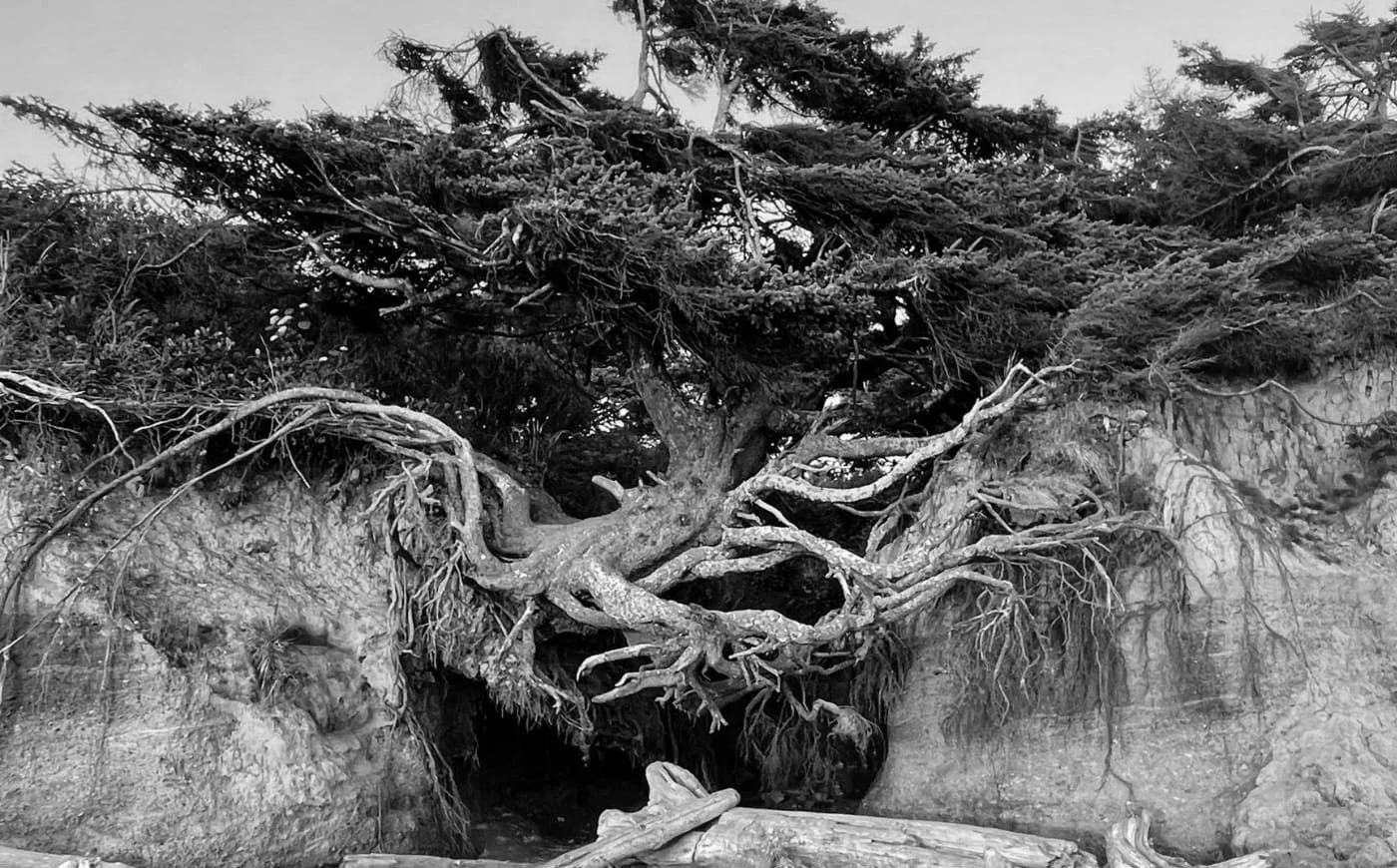 Contact — Stacy D. Flood - Main Page