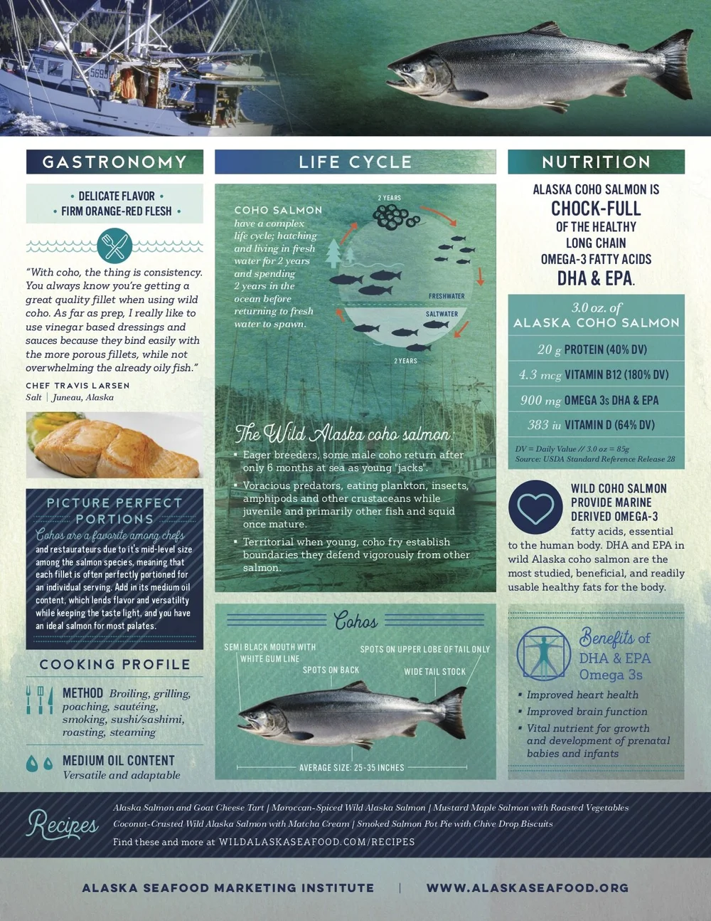Coho Salmon Life Cycle