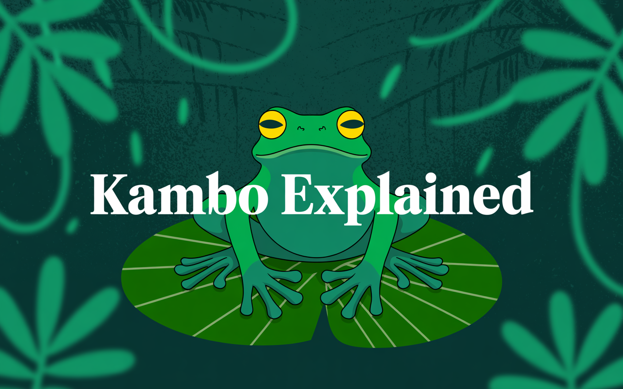 Kambo Explained: What It Is, How It’s Used, Risks — Kambo International
