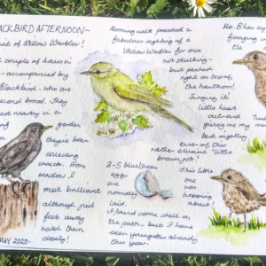 Program - International Nature Journaling Week 2021 — Nature Journaling ...