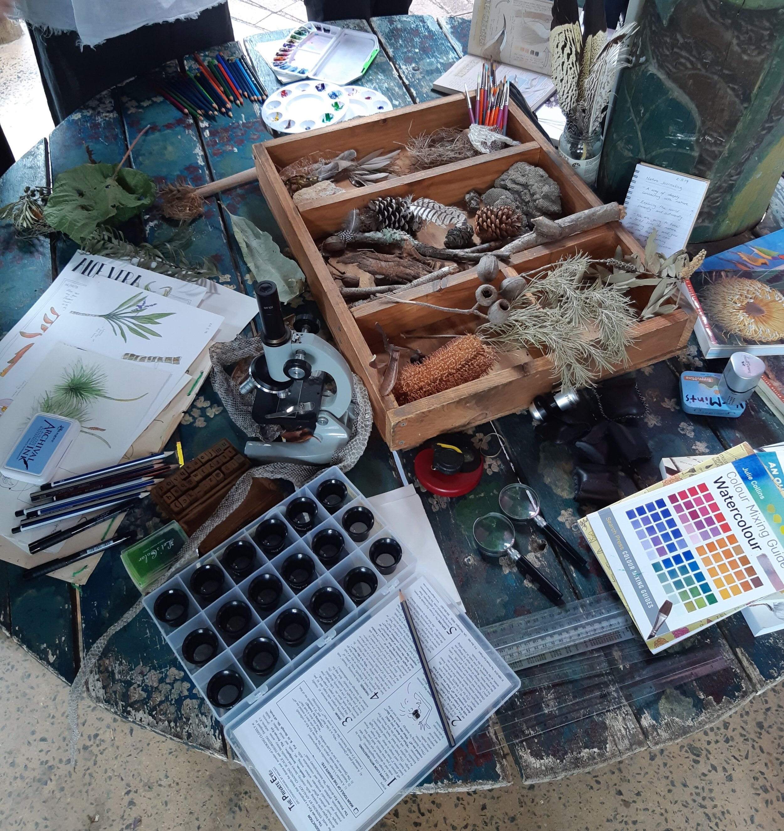 Nature Journaling Week