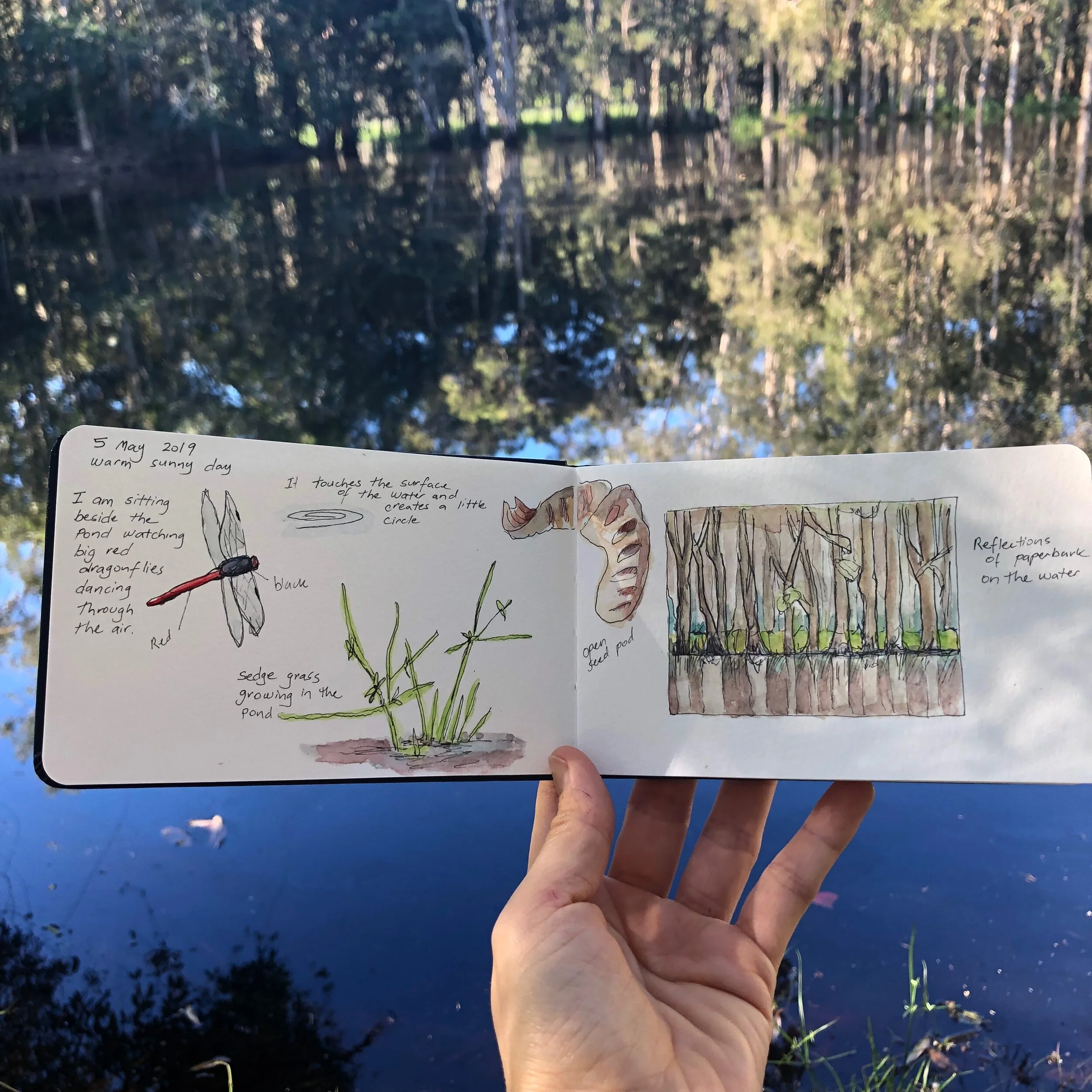 10 things to include on your journal page — Nature Journaling Week