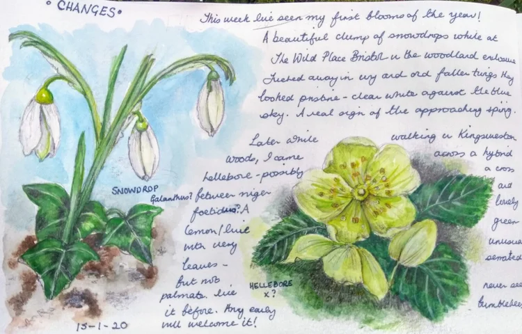 Connecting: Changing the ‘nature’ mindset — Nature Journaling Week