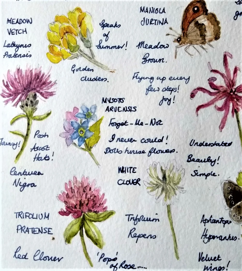 Connecting: Changing the ‘nature’ mindset — Nature Journaling Week
