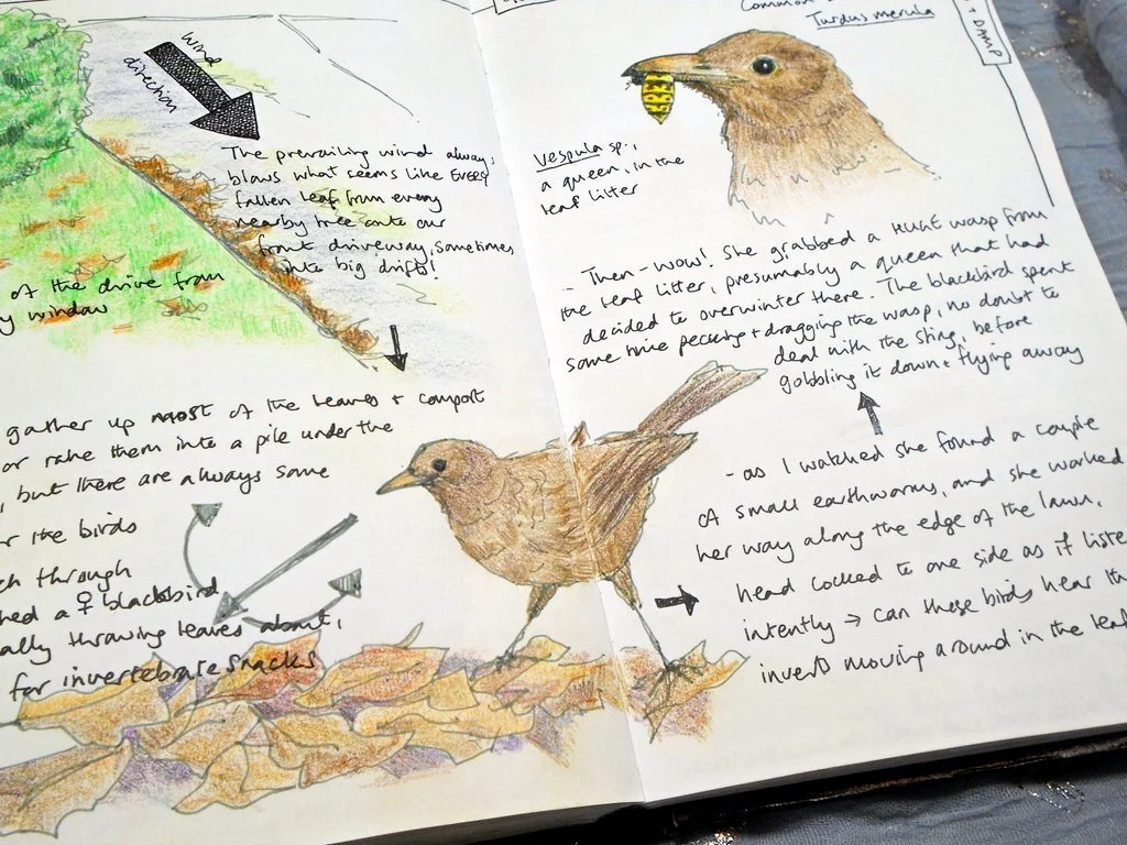 Encounters with nature: Capturing memories of your natural world ...