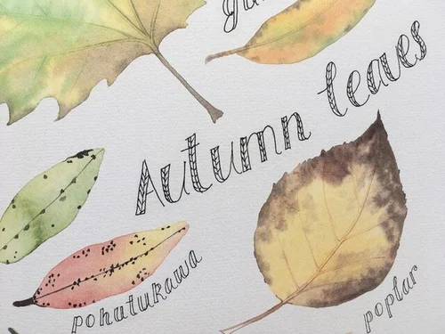 Creative hand lettering with children — Nature Journaling Week