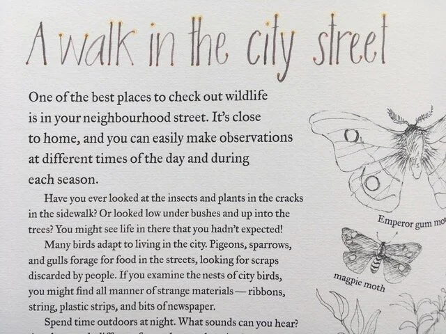 Creative hand lettering with children — Nature Journaling Week