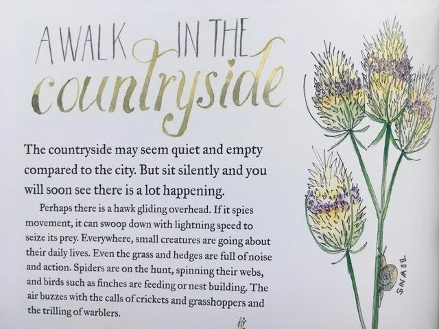 Creative hand lettering with children — Nature Journaling Week