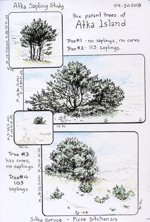 Nature journaling the Alaskan wilderness — Nature Journaling Week
