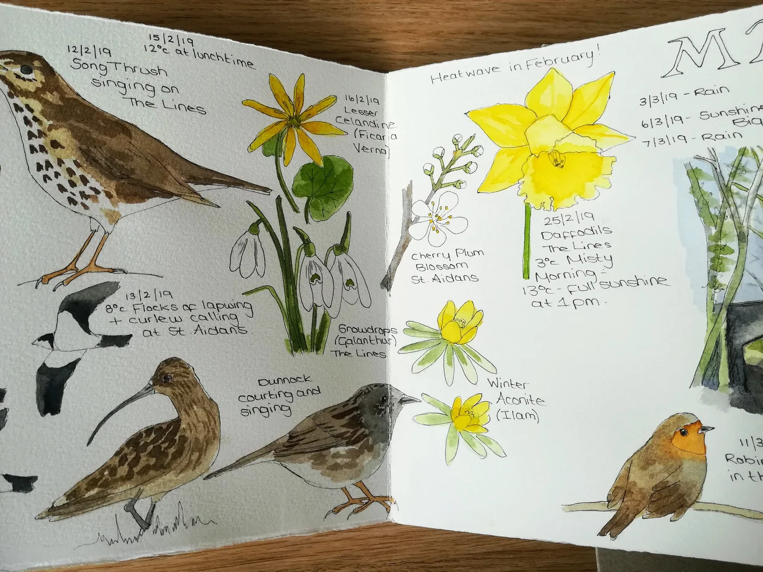 Being present whilst also recording history — Nature Journaling Week