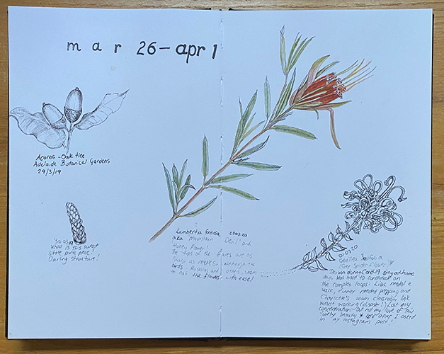 Nature journaling as an exercise in mindful observation — Nature ...