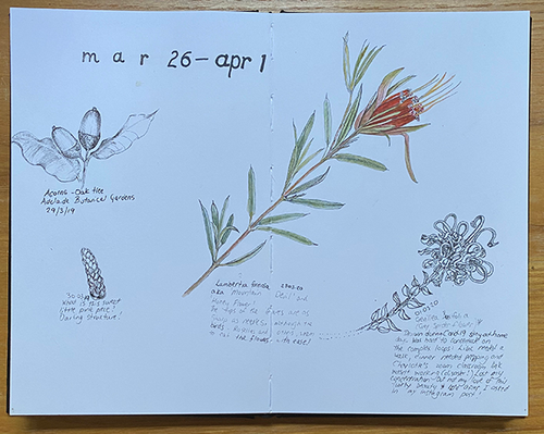 Nature journaling as an exercise in mindful observation — Nature ...