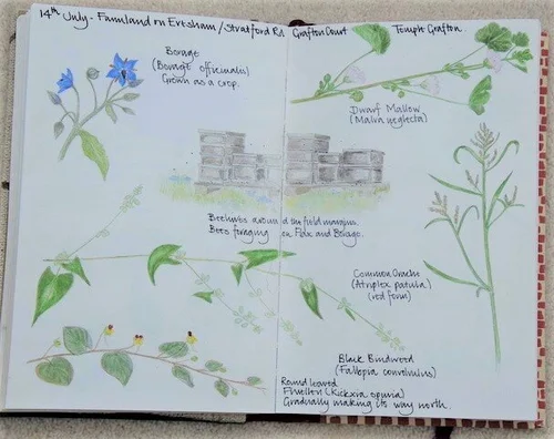 A journaling journey — Nature Journaling Week
