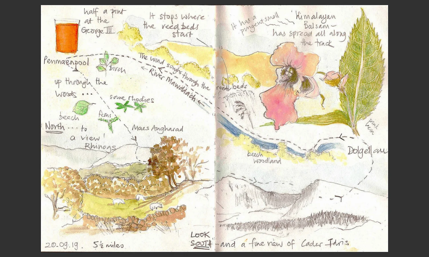 ‘Drawn Walks’ and Nature Journaling — Nature Journaling Week