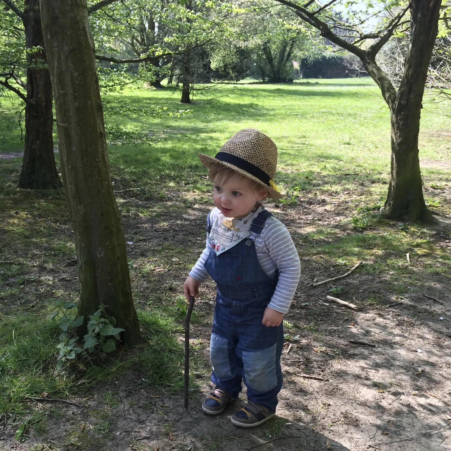 Finding Nature’s Treasures: the adventures of a young naturalist ...